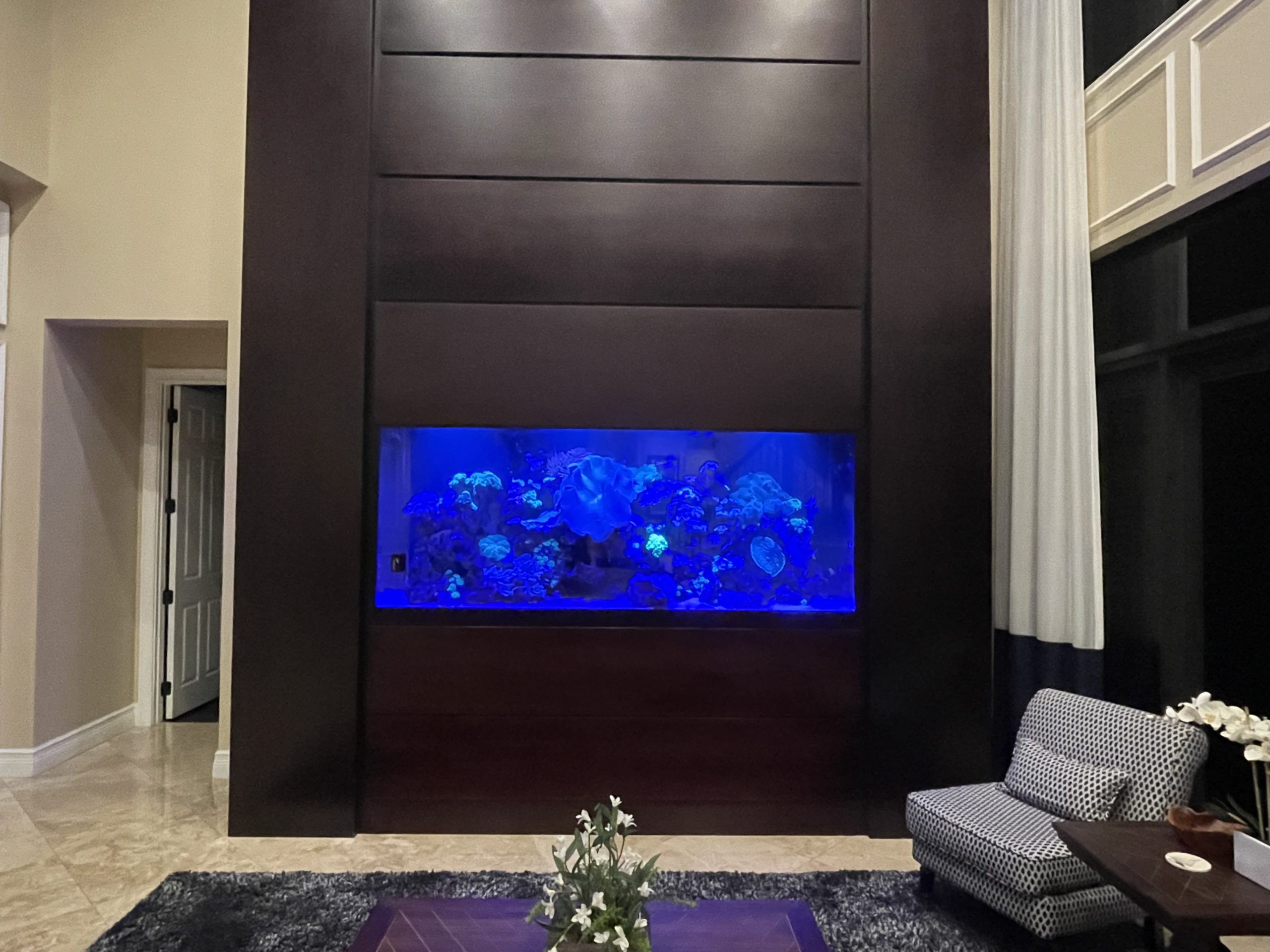 Aquarium - Custom Reef Aquarium Designs
